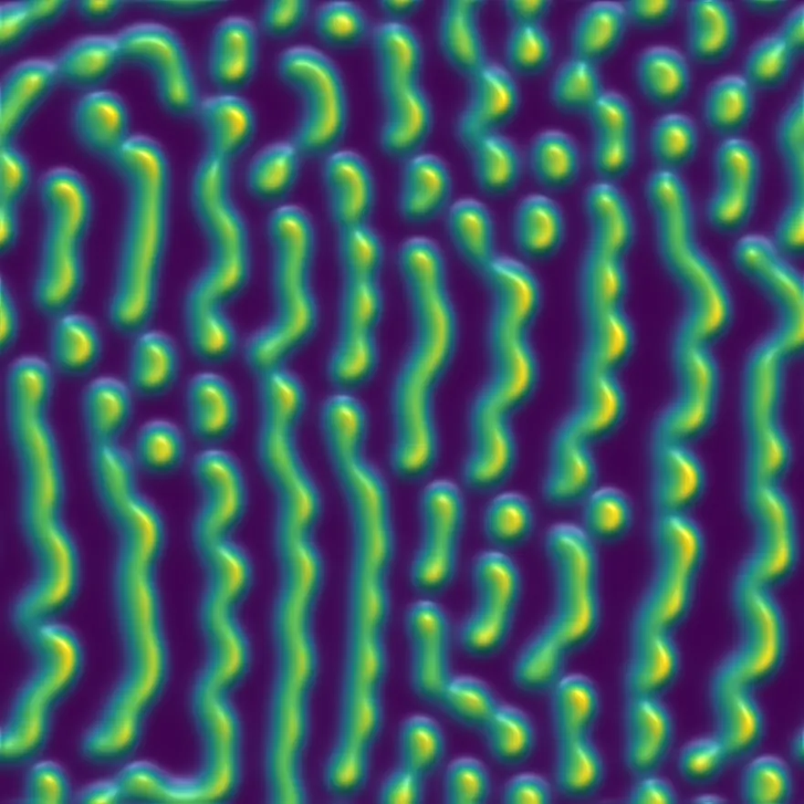 Turing’s theory of pattern formation | VisualPDE