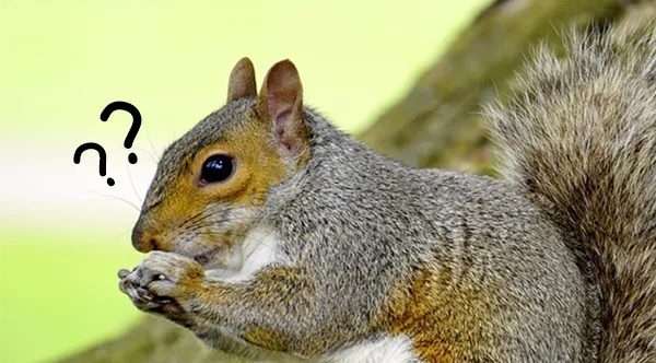 Documentation | VisualPDE